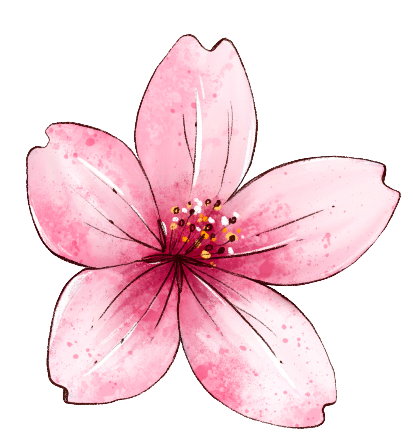 Accueil kalys Nails & Beauty